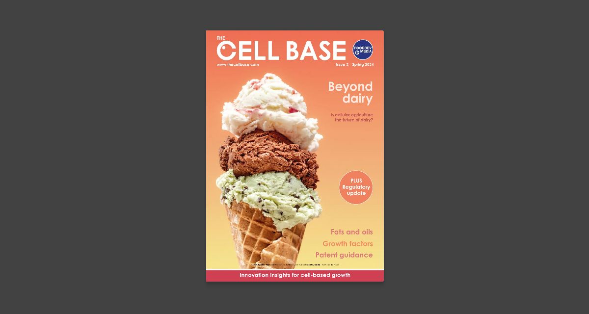 The Cell Base Issue 2